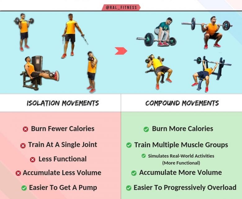 EXERCISE – COMPOUND AND ISOLATION MOVEMENTS – Liv Ezy Blog